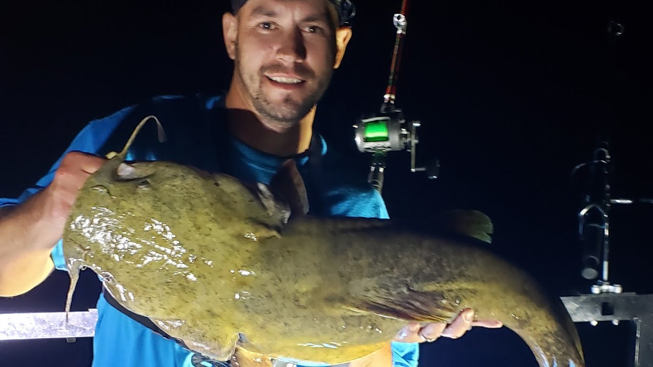 When Catfish BITE Back! - YouTube