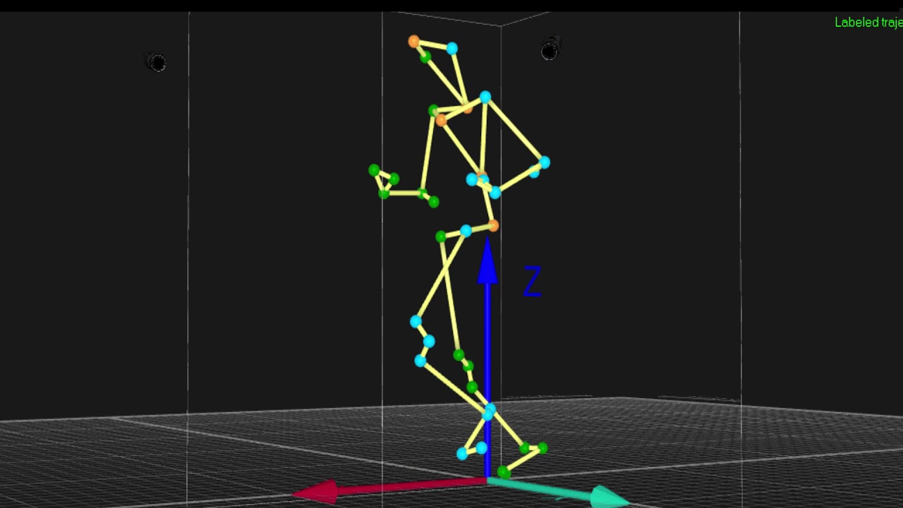 Running Analysis - Exercise & Sports Science Center - YouTube