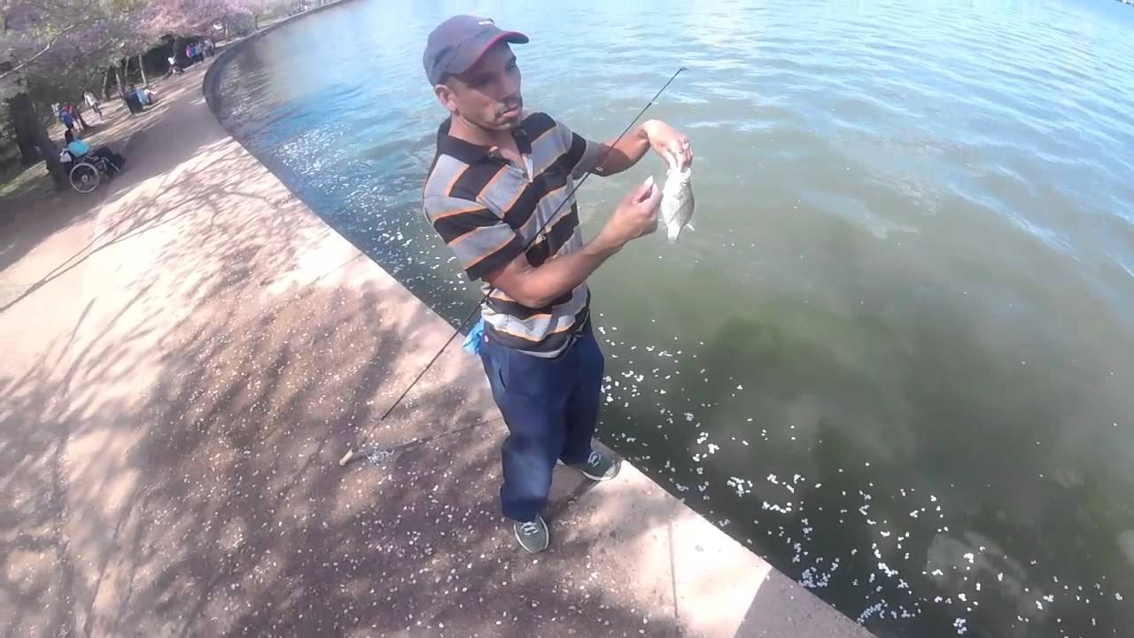 Dc fishing - YouTube