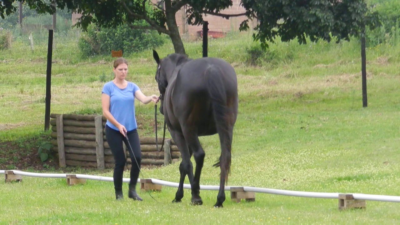 Cara & Magic ST Work in Hand 1 - YouTube