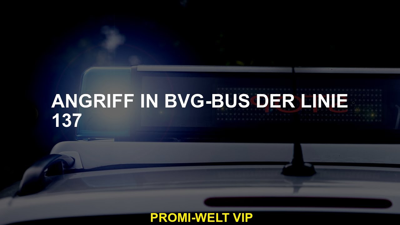 Angriff in BVG-Bus der Linie 137 - YouTube