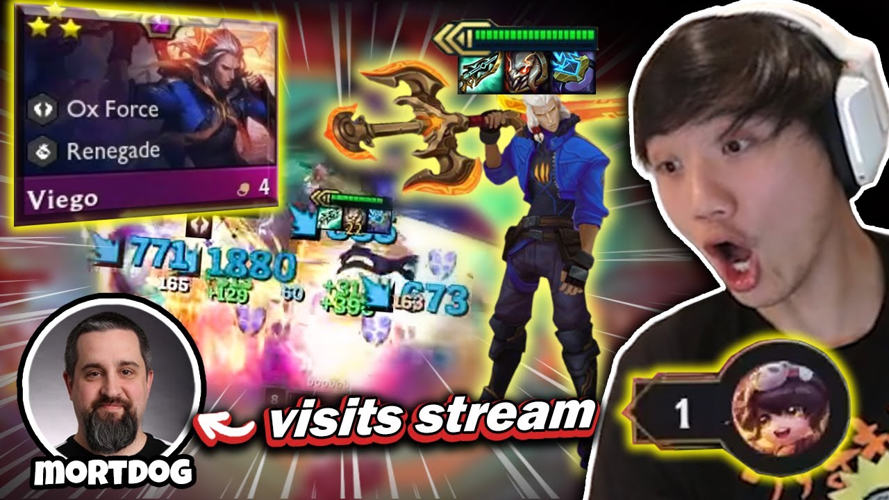 What Happens When Mortdog Visits My Chat - YouTube