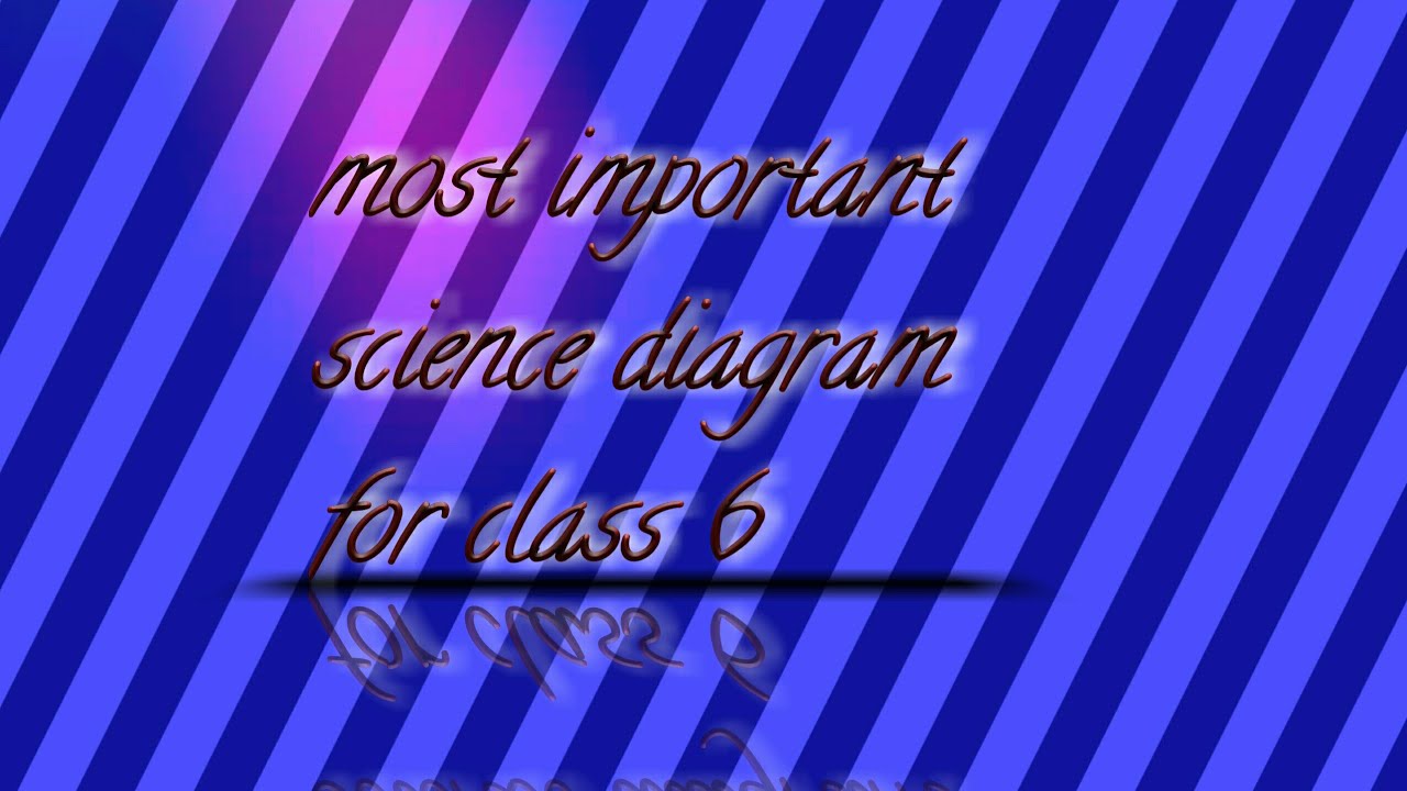Most important science diagram for class 6 - YouTube