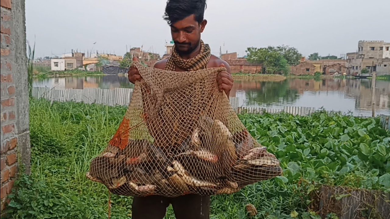 fishing videos ! part 3 amazing big fish hunting video ! best fishing ...