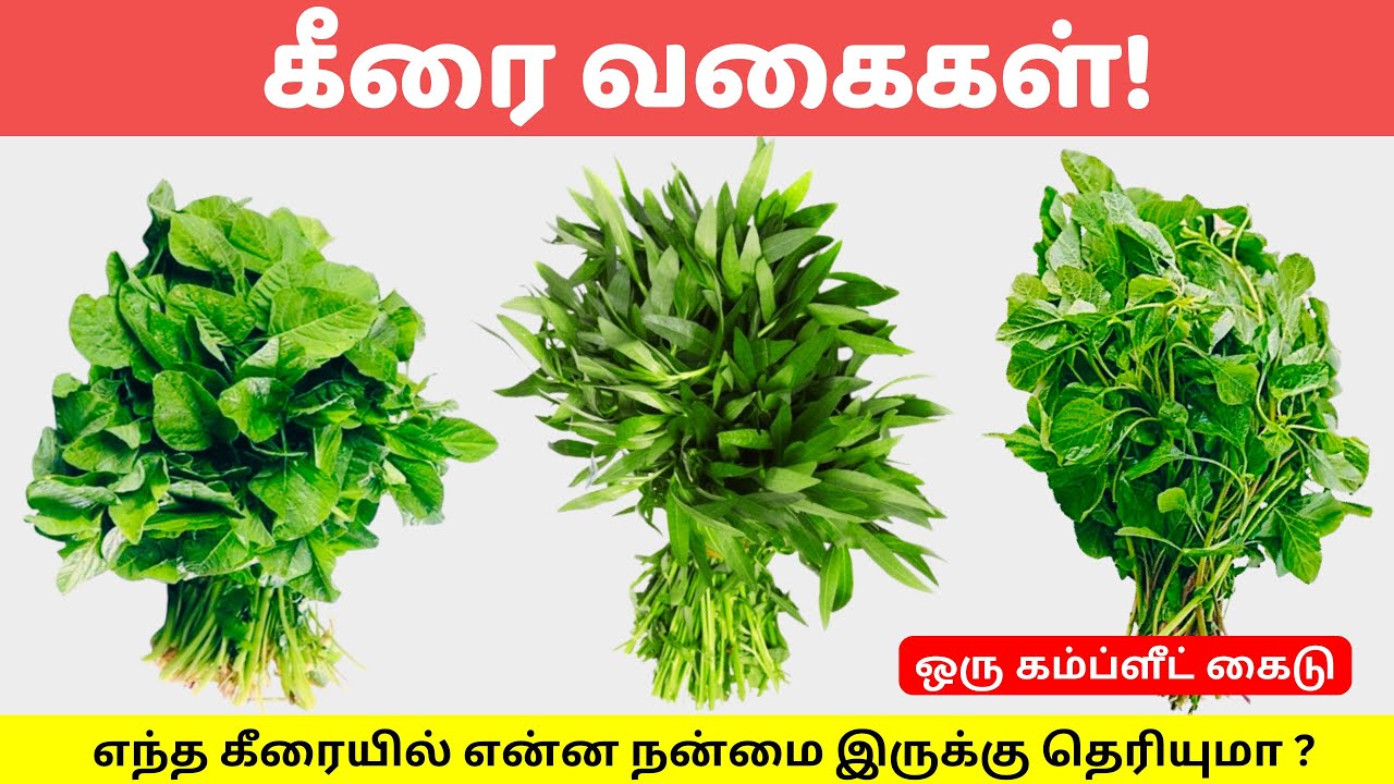 TOP கீரை வகைகளும் அதன் பயன்களும் | Keerai Vagaigal And Benefits In ...