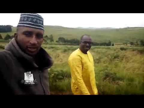 baba sadou