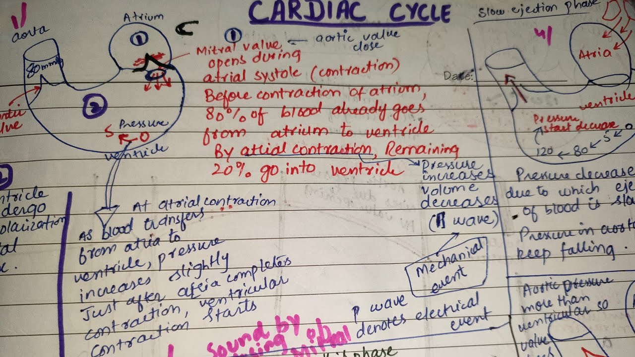 Events of cardiac cycle from guyton__Part 2 - YouTube