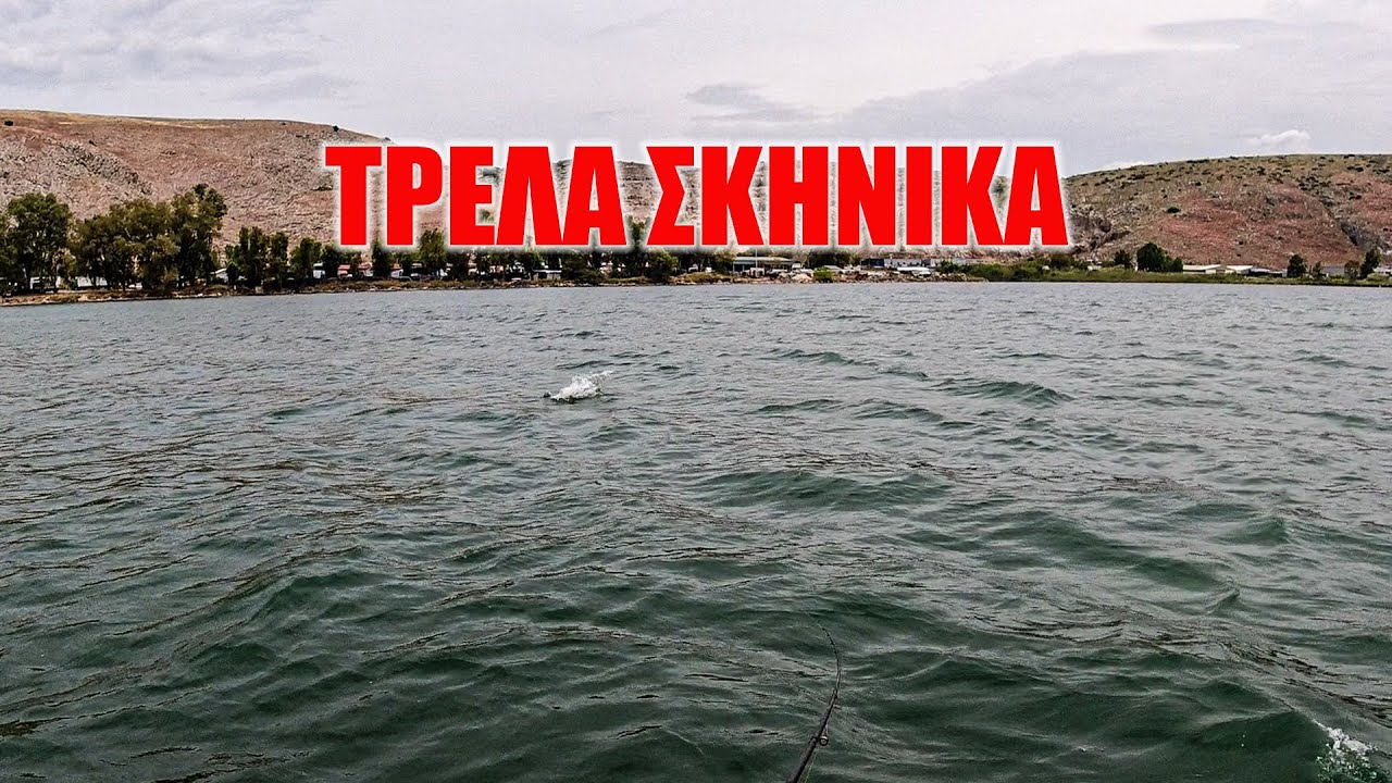 ΤΡΕΛΑ 🤪 ΣΚΗΝΙΚΑ ΣΤΟ ΨΑΡΕΜΑ #vol2 - SPINNING - YouTube
