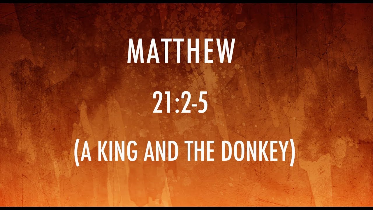 Matthew 21:2-5 (A King and the Donkey) - Bible Study with HSI - 26/02 ...