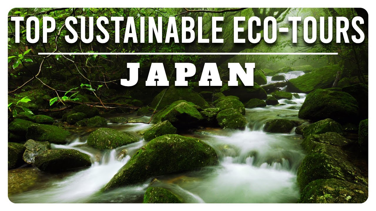 Go Green in Japan: Must-Know Secrets About Sustainable Eco-Tours! - YouTube