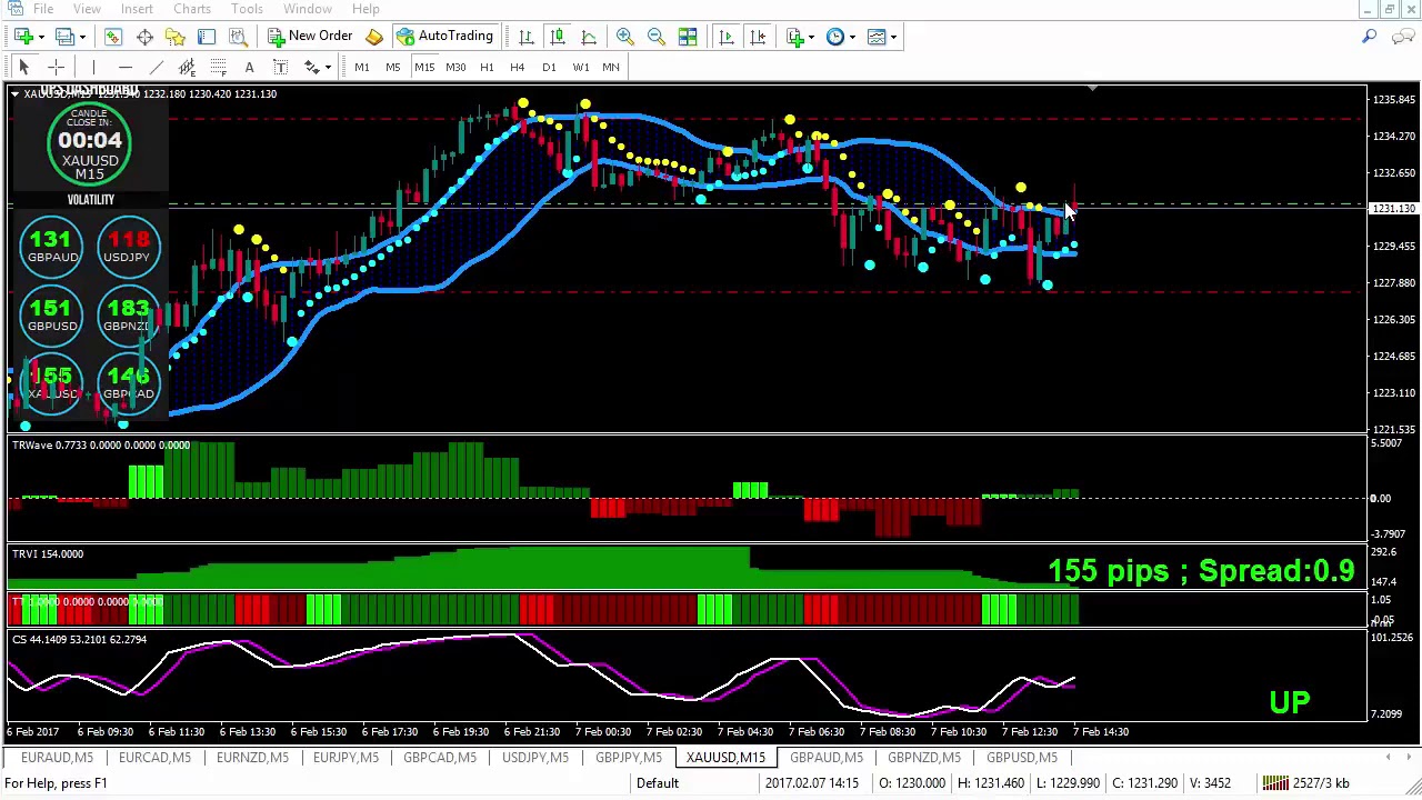 ULTIMATE PROFIT SOLUTION - $1,845 00 Live Trade By Toshko Raychev - YouTube