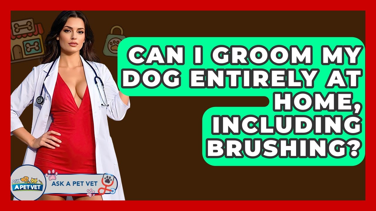 Can I Groom My Dog Entirely At Home, Including Brushing? - Ask A Pet ...