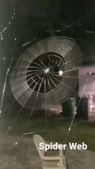 Spider Web Making 100X Faster - YouTube