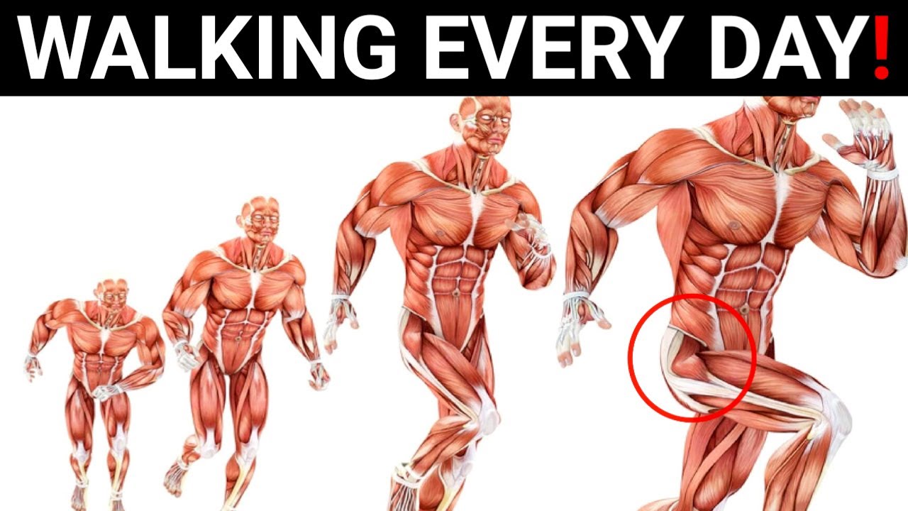Walk Every Day And See What Happens To Your Body | Health Benefits Of ...