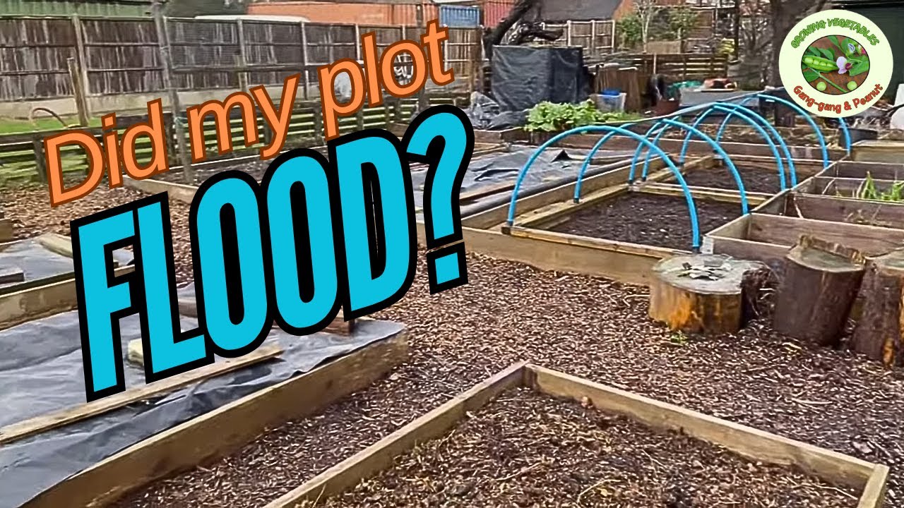 First Allotment Plot Tour: The Great Gardening Adventure Begins! - YouTube