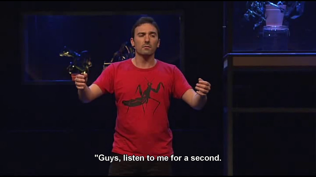 Ronald Goedemondt - Groene Fernandes (ENG SUBS) - YouTube