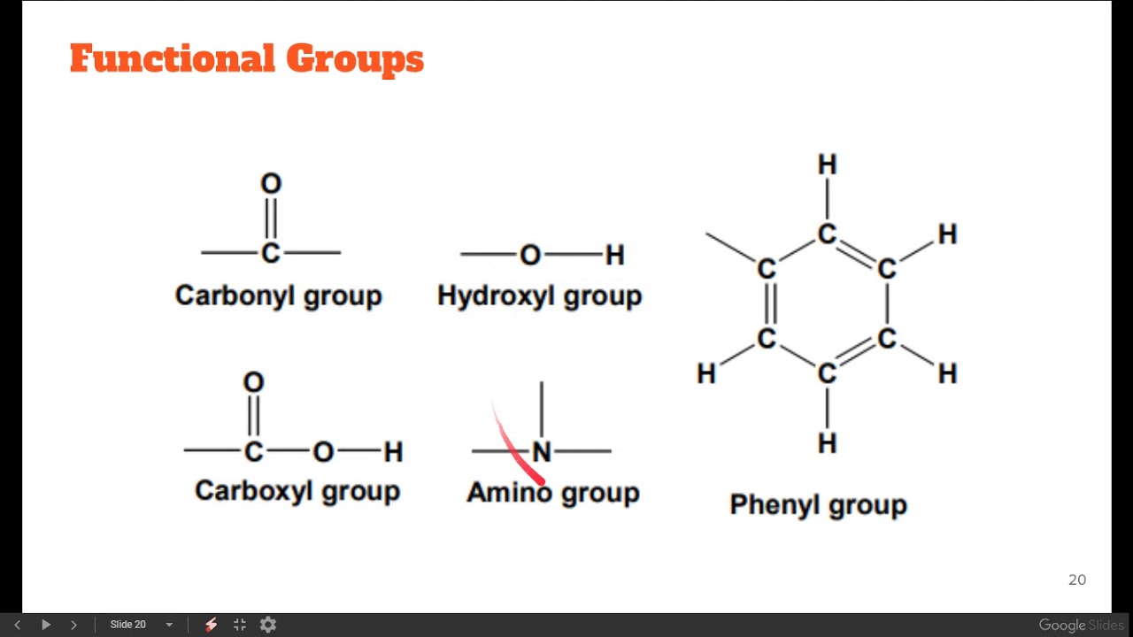 9.2 - Alkanes and Functional Groups - YouTube