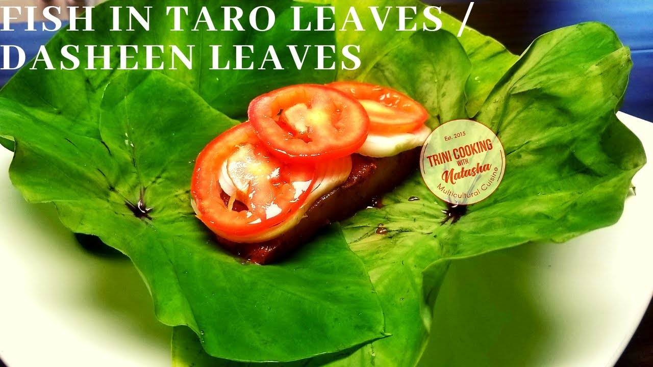 Fish cooked in Taro Leaves / Dasheen Leaves - Episode 888 - YouTube