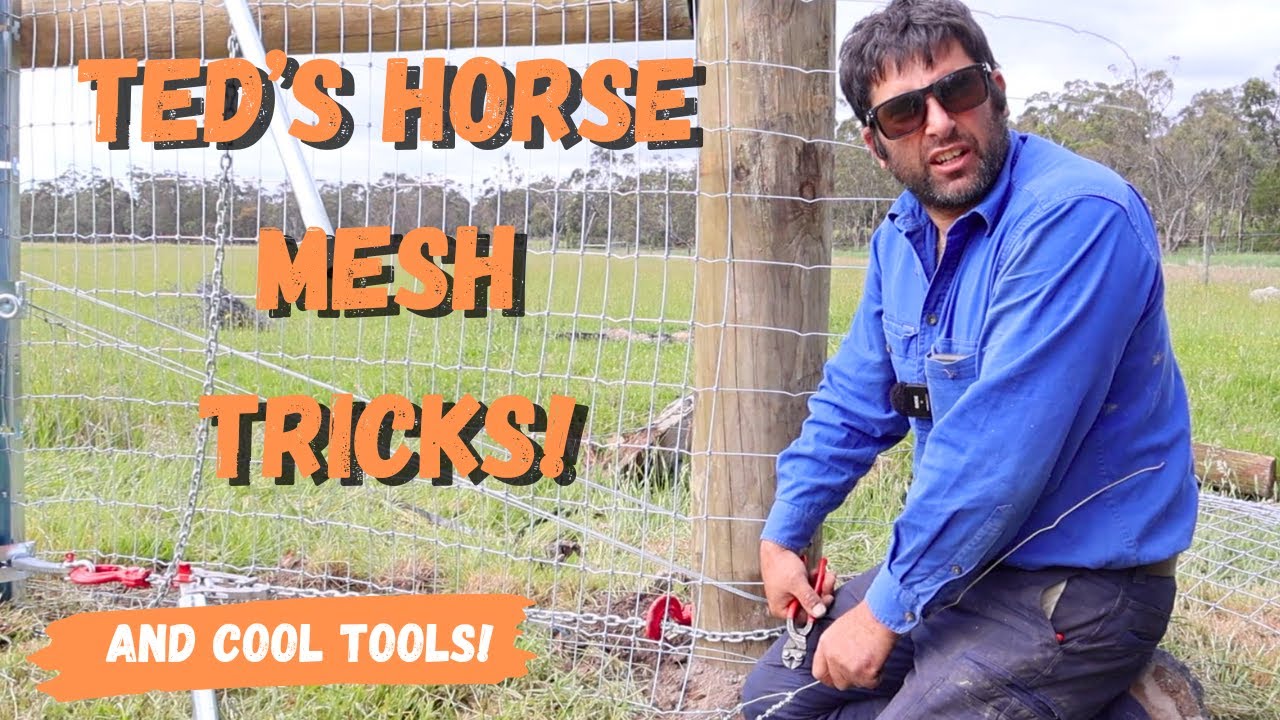 Hidden Farm Fence Horse Mesh Secrets Nobody Talks About - YouTube