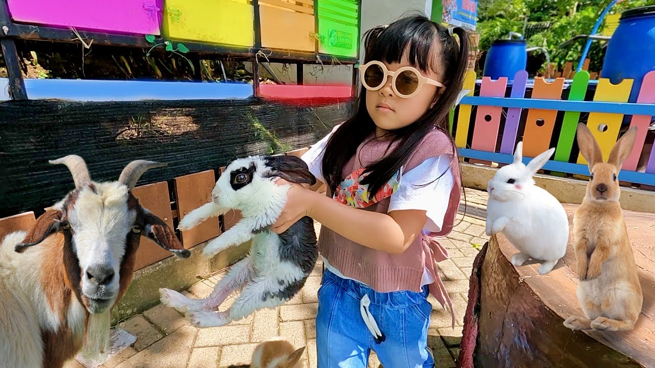 Gendong Kelinci dan Kasih Makan Kelinci dan Kambing Lucu - Mengenal Binatang untuk Anak - YouTube