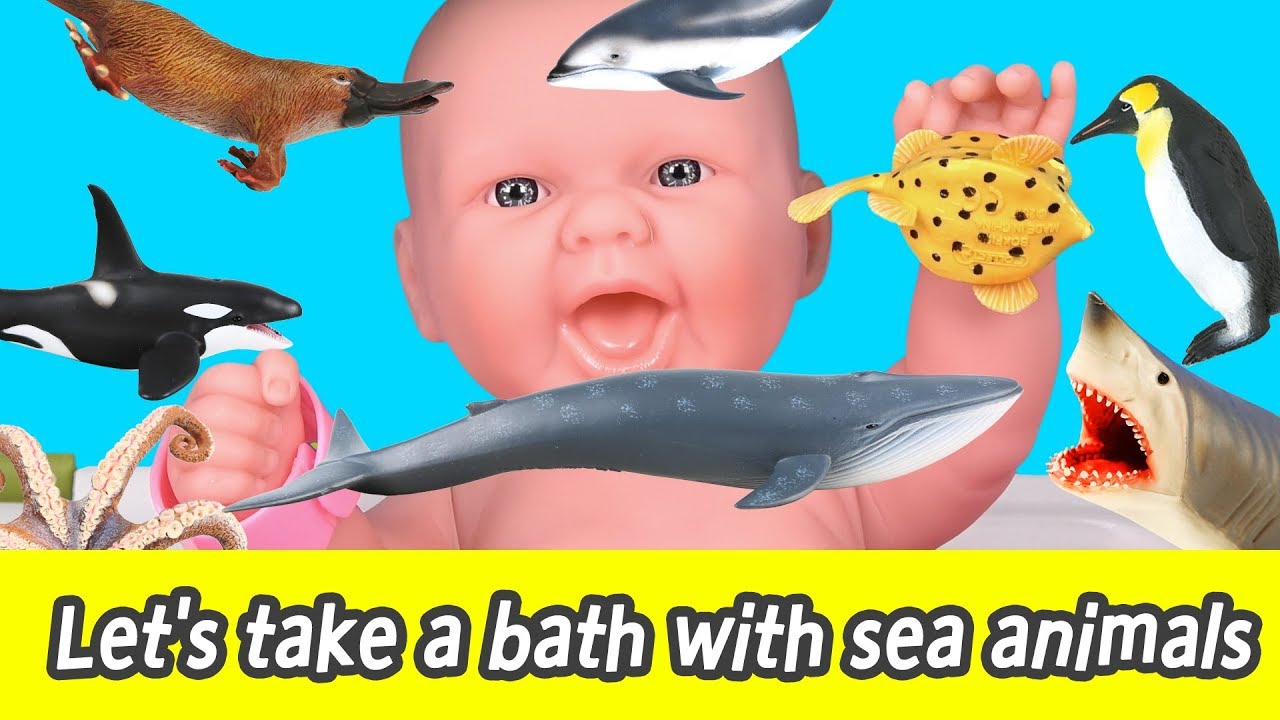 [EN] Let's take a bath with sea animals! whale names for kids, kids ...