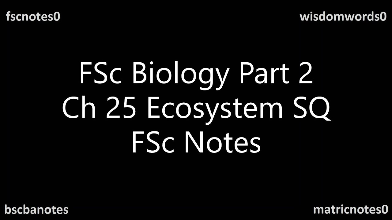 FSc Biology Part 2 Ch 25 Ecosystem SQ FSc Notes - YouTube