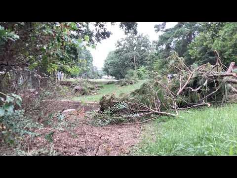 UP 5343 NB Leads Manifest Magnolia,Tx - YouTube