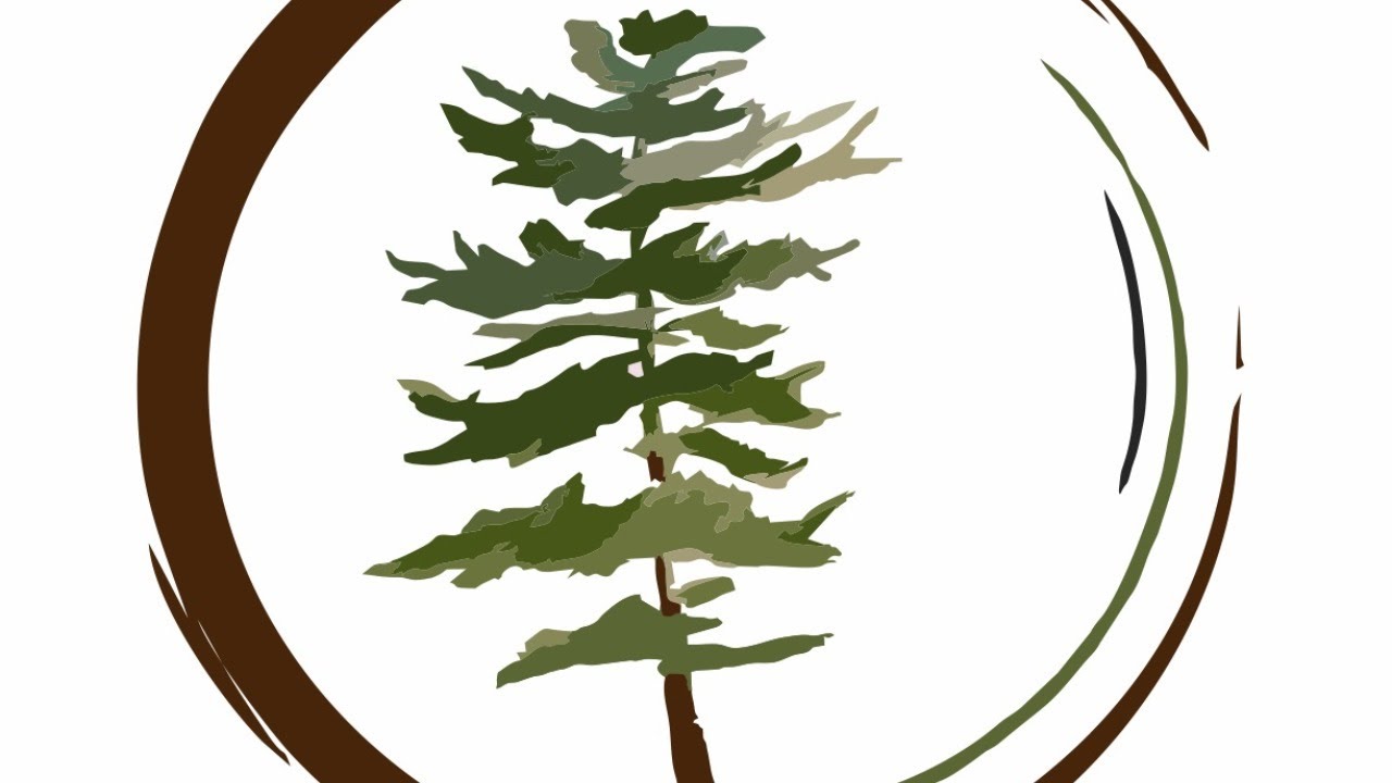 ACT Matrix (Parent-Child relationships) - YouTube