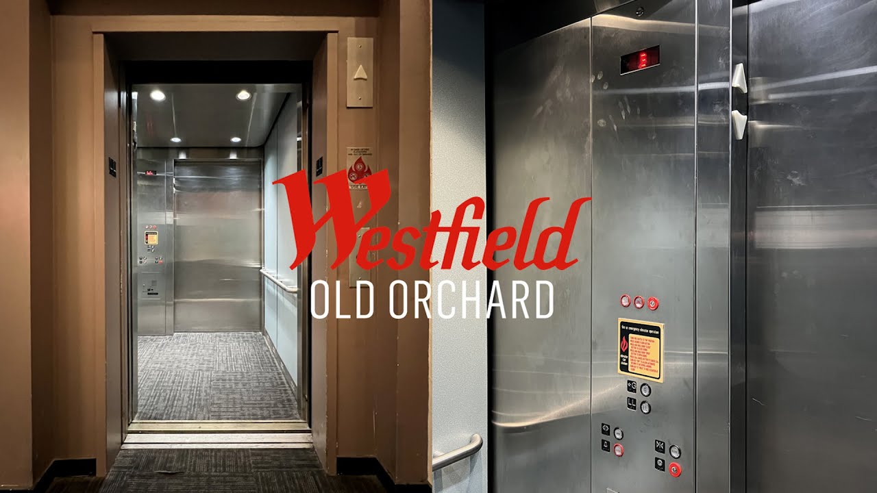 Montgomery Hydraulic Elevator - Service Collection, Westfield Old ...