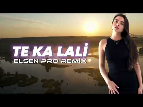 Hemo Muzik - Elsen Pro   Te Ka Lali Tiktok Trend