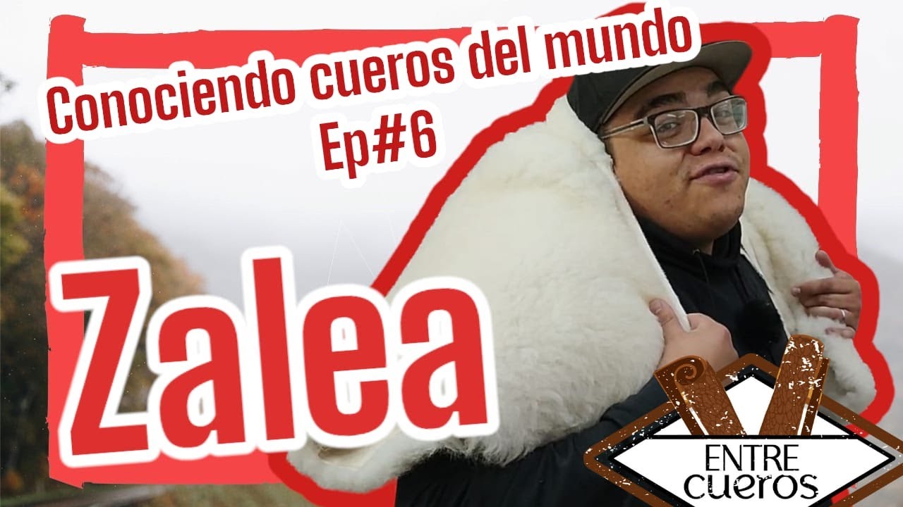 Conociendo cueros del mundo Ep. 6: Zalea de borrego 🐑 - YouTube
