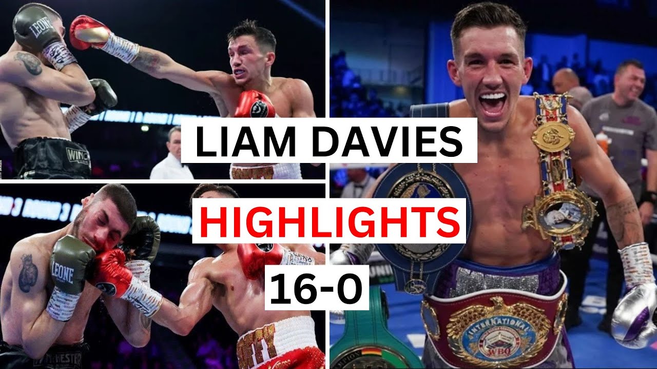 Liam Davies (16-0) Highlights & Knockouts - YouTube