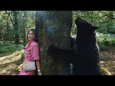 კოკაინის დათვი ქართულად | kokainis datvi qartulad - YouTube