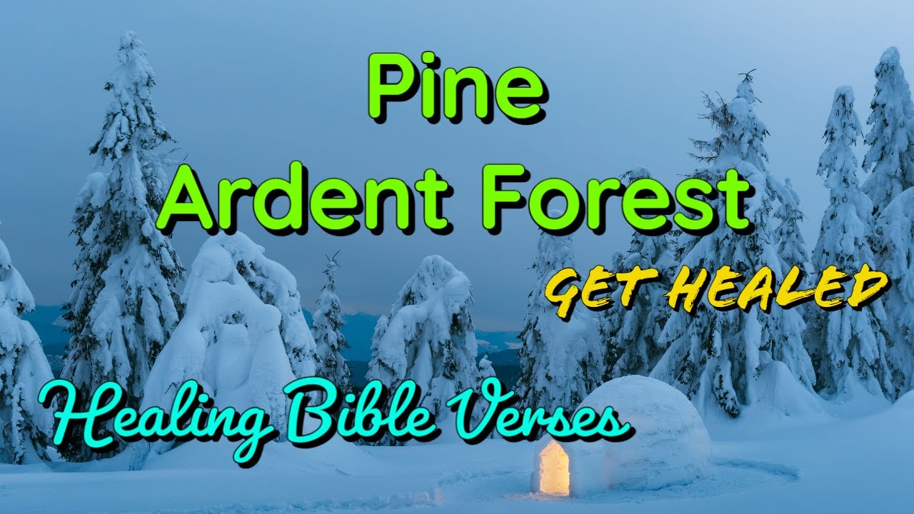 Pine by Ardent Forest, Healing Bible Verses - YouTube