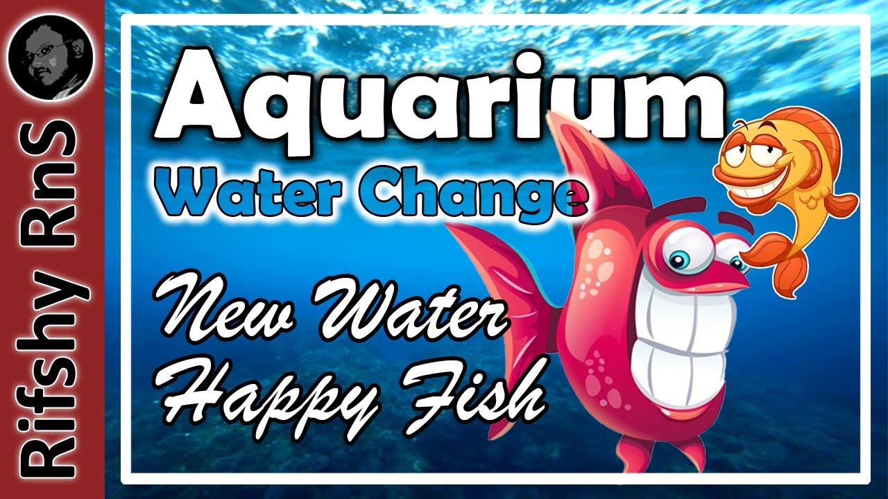 How to do Water Change in a Fresh Water Aquarium - YouTube