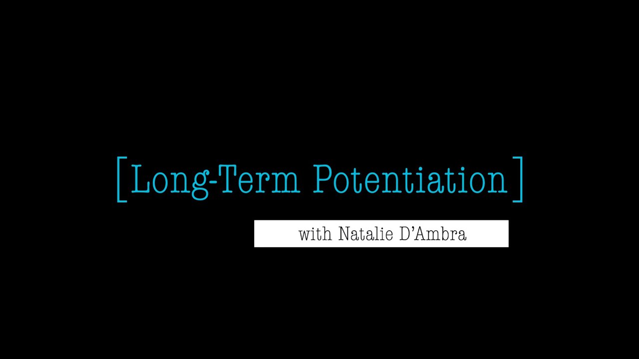 Long-Term Potentiation - YouTube