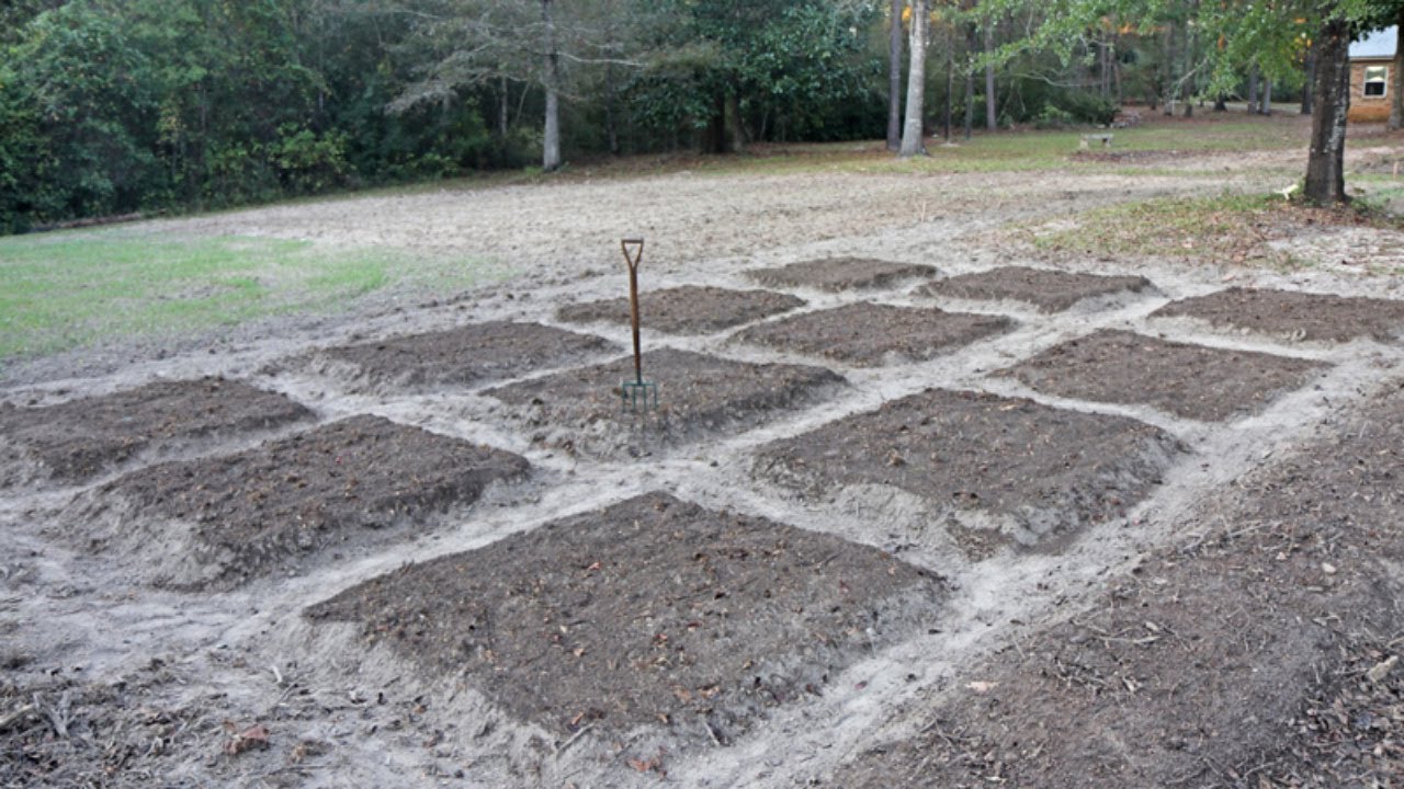 More Gardening Experiments - Give me Your Input! (Goodstream #152 ...