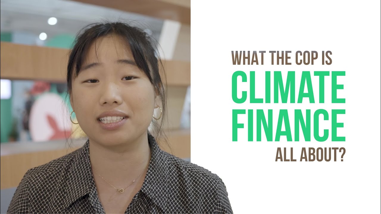 Climate Finance: What the COP Is It All About? - YouTube