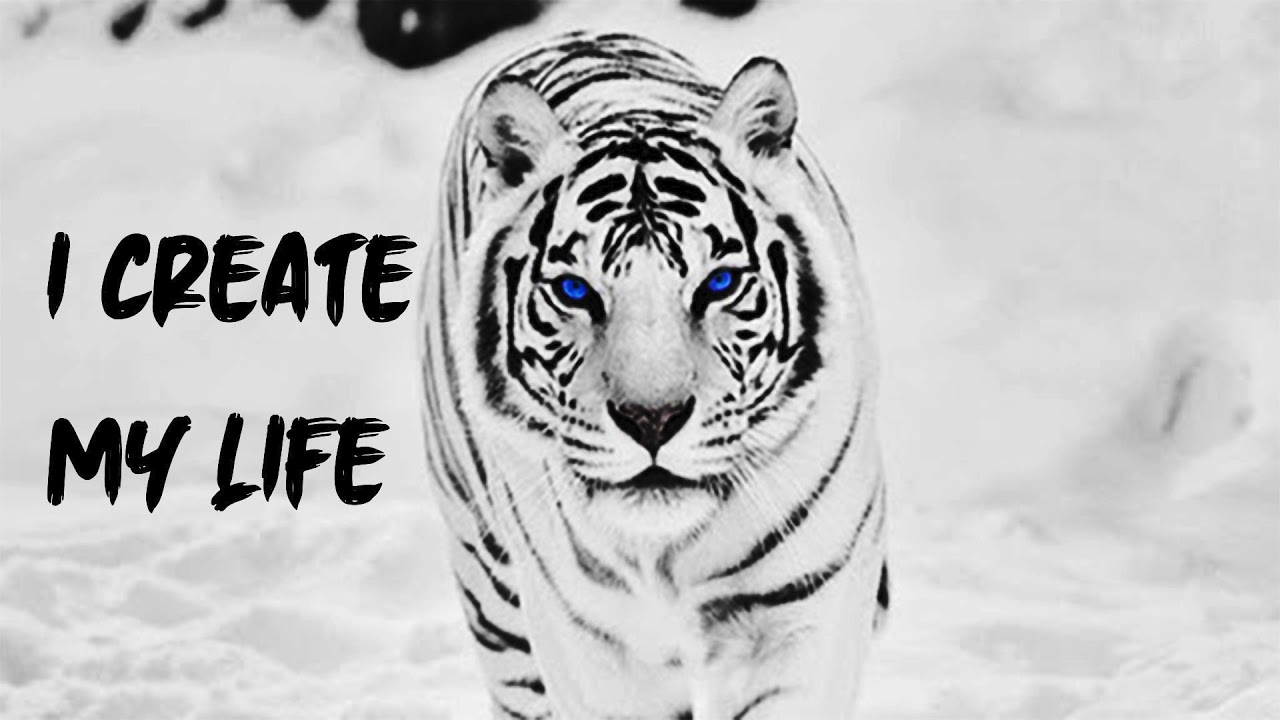 * 8 Min Meditation - ' I CREATE MY LIFE (Neuroplasticity , quantum ...