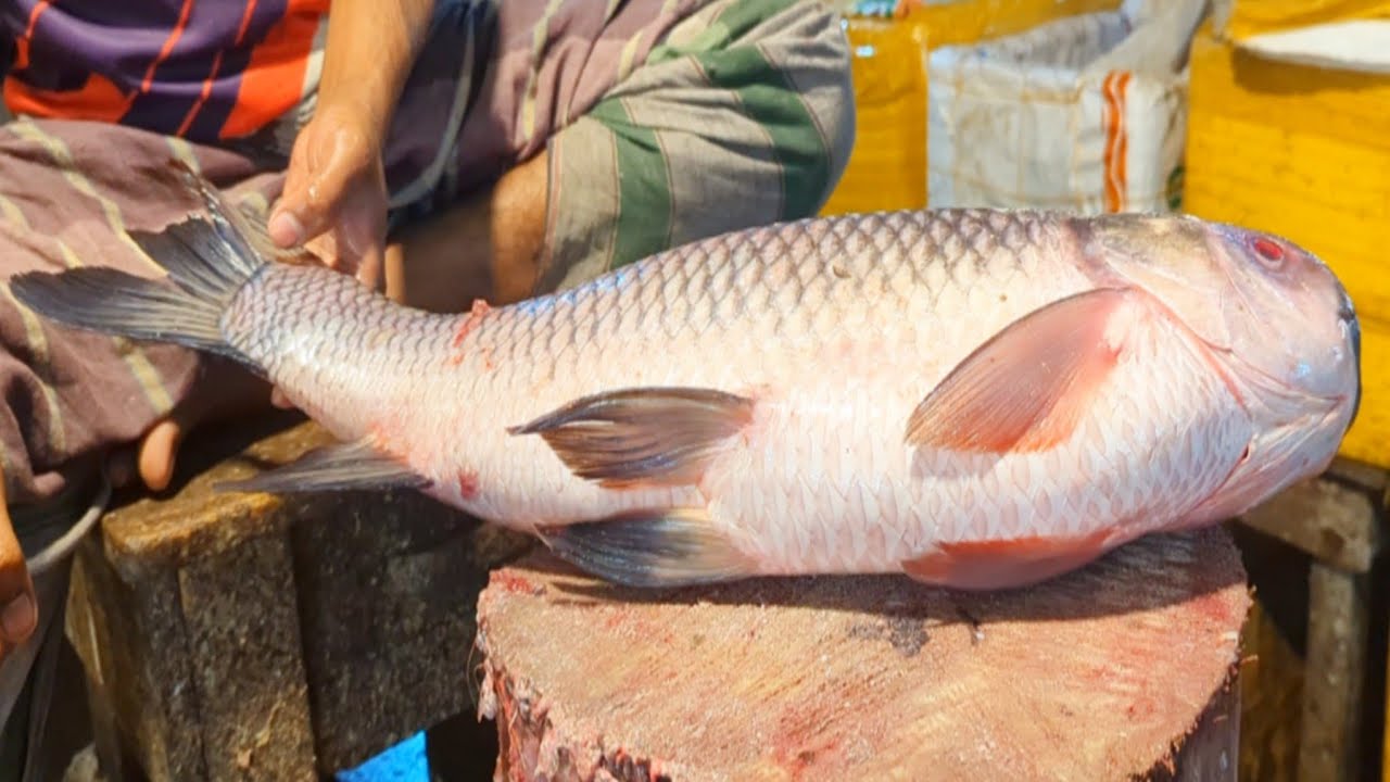 Fast Rohu Fish Cutting skills In Bangladesh Local Fish Market By Expert ...