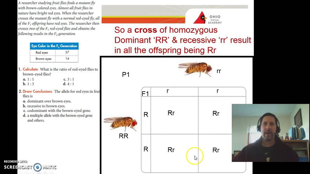 Exit Ticket remediation-1 - YouTube