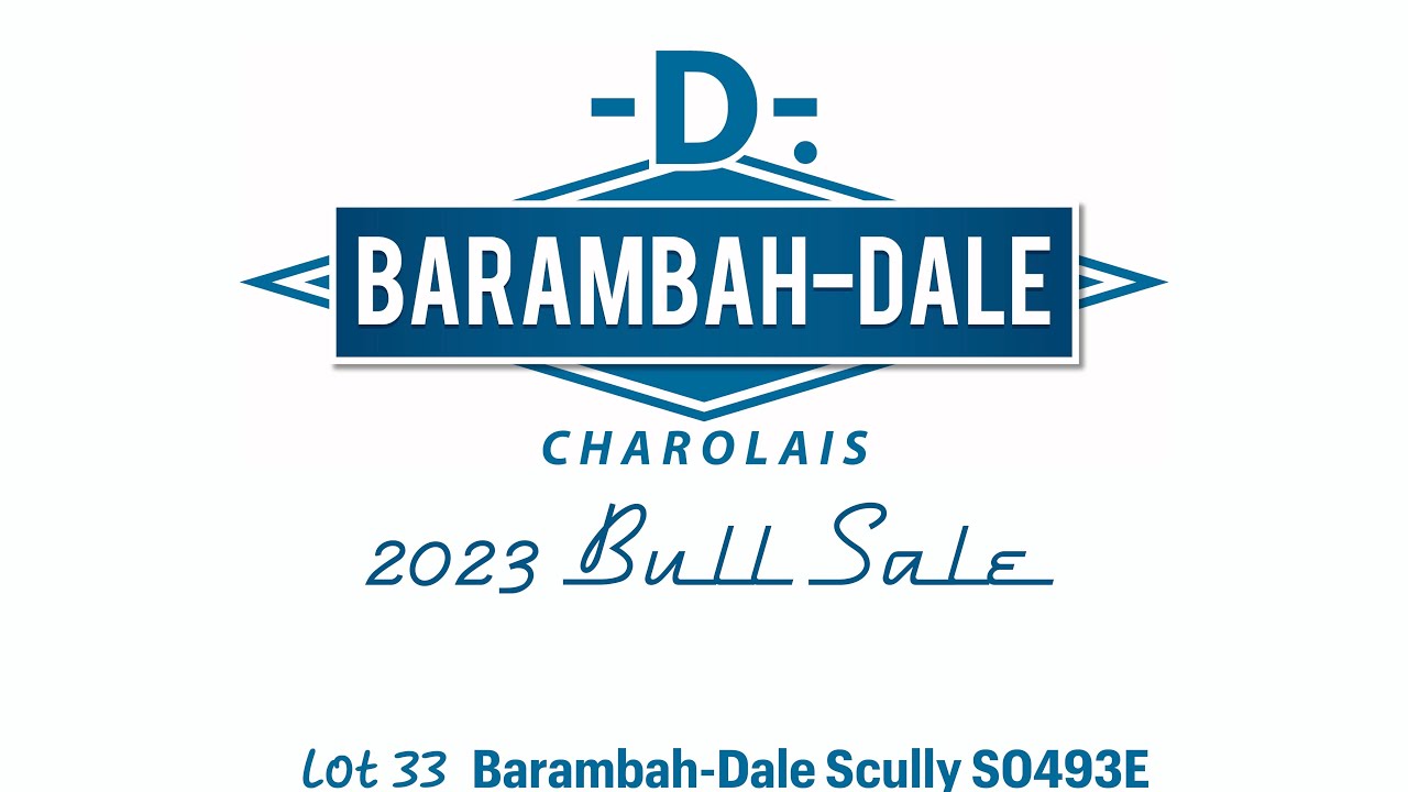 Lot 33 Barambah Dale Scully S0493E - YouTube
