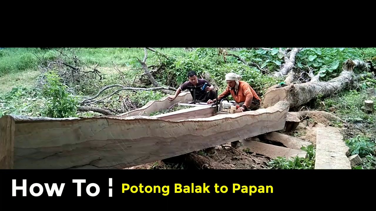 Potong batang balak - YouTube