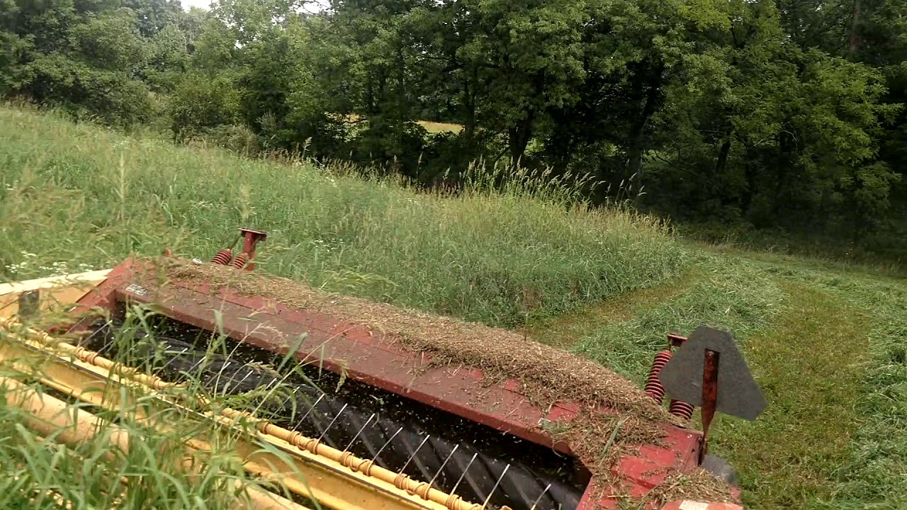Oliver 1550 Cutting Second Crop hay - YouTube