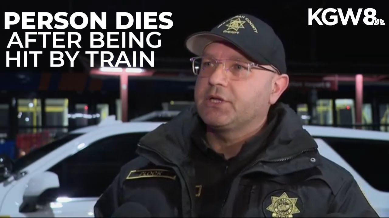 1 hit, killed by train at Portland's Delta Park Transit Station - YouTube