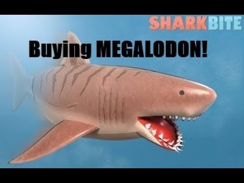 BUYING MEGALODON | SHARK BITE (ROBLOX) - YouTube