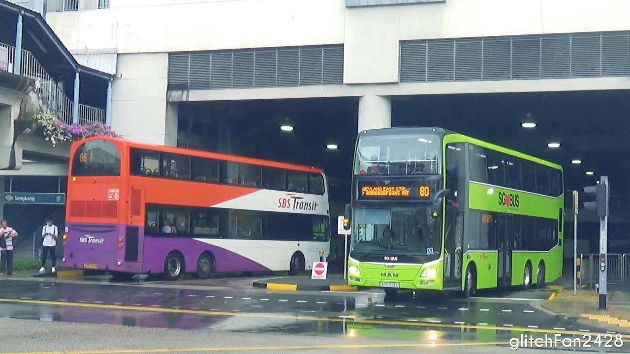 Buses at Sengkang Interchange, Singapore 2020 - YouTube