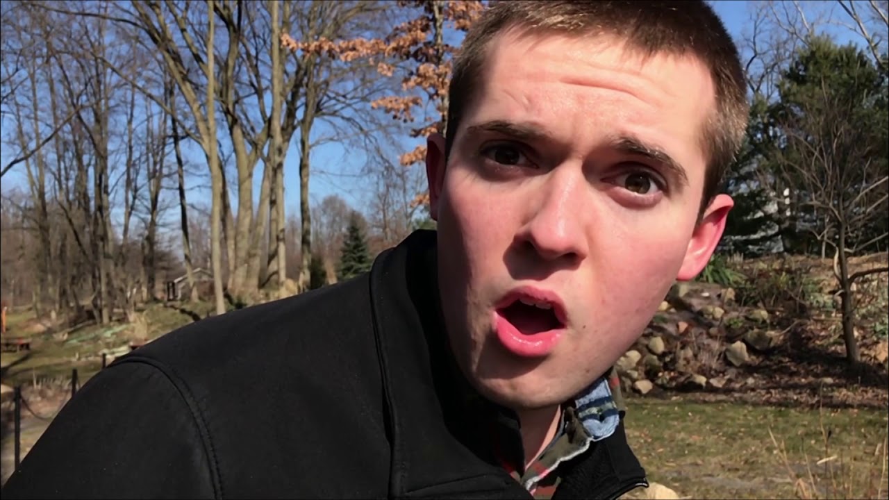 The Adventures of Little Timmy: Cinematic - YouTube