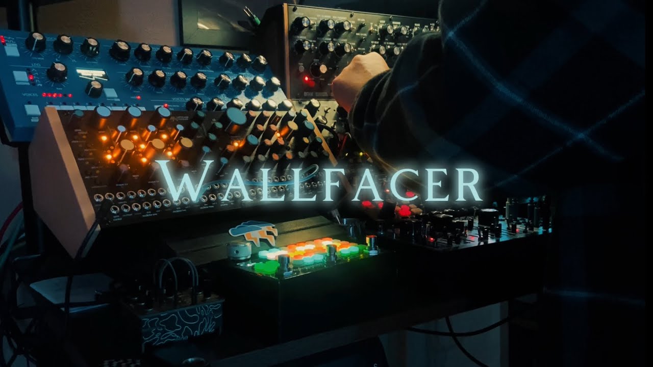 Wallfacer - DAWless Jam (Bree6, Deluge, Moog Sound Studio, Taiga, NYX, Mono Lancet, Zoia ...