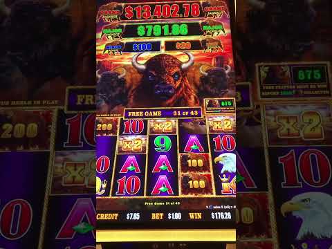 Awesome run on this Buffalo machine 🦬🦬🦬 - YouTube